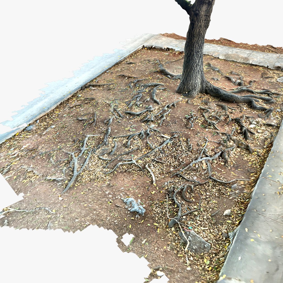 Sidewalk Tree 3D - TurboSquid 1968038
