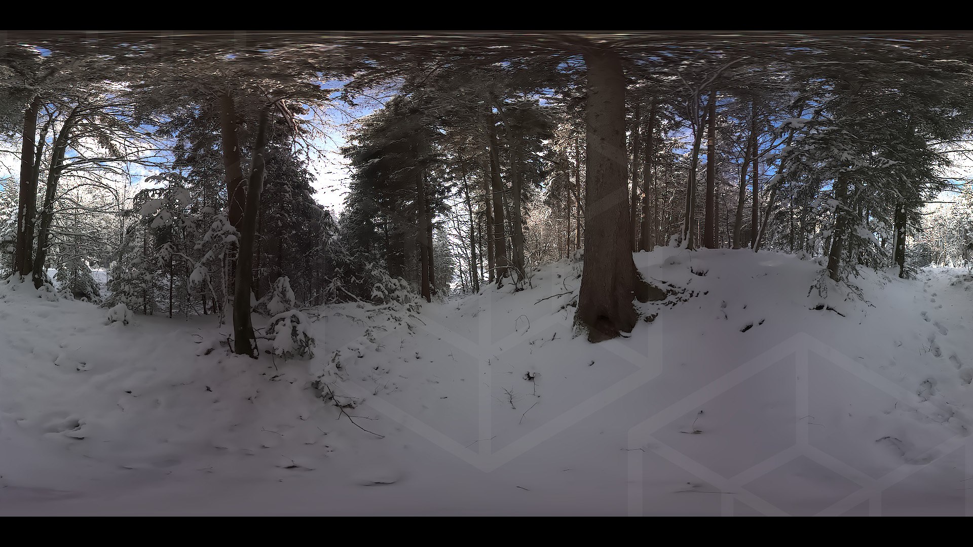 3D Winter Wonderland HDRI Collection Model - TurboSquid 2294648