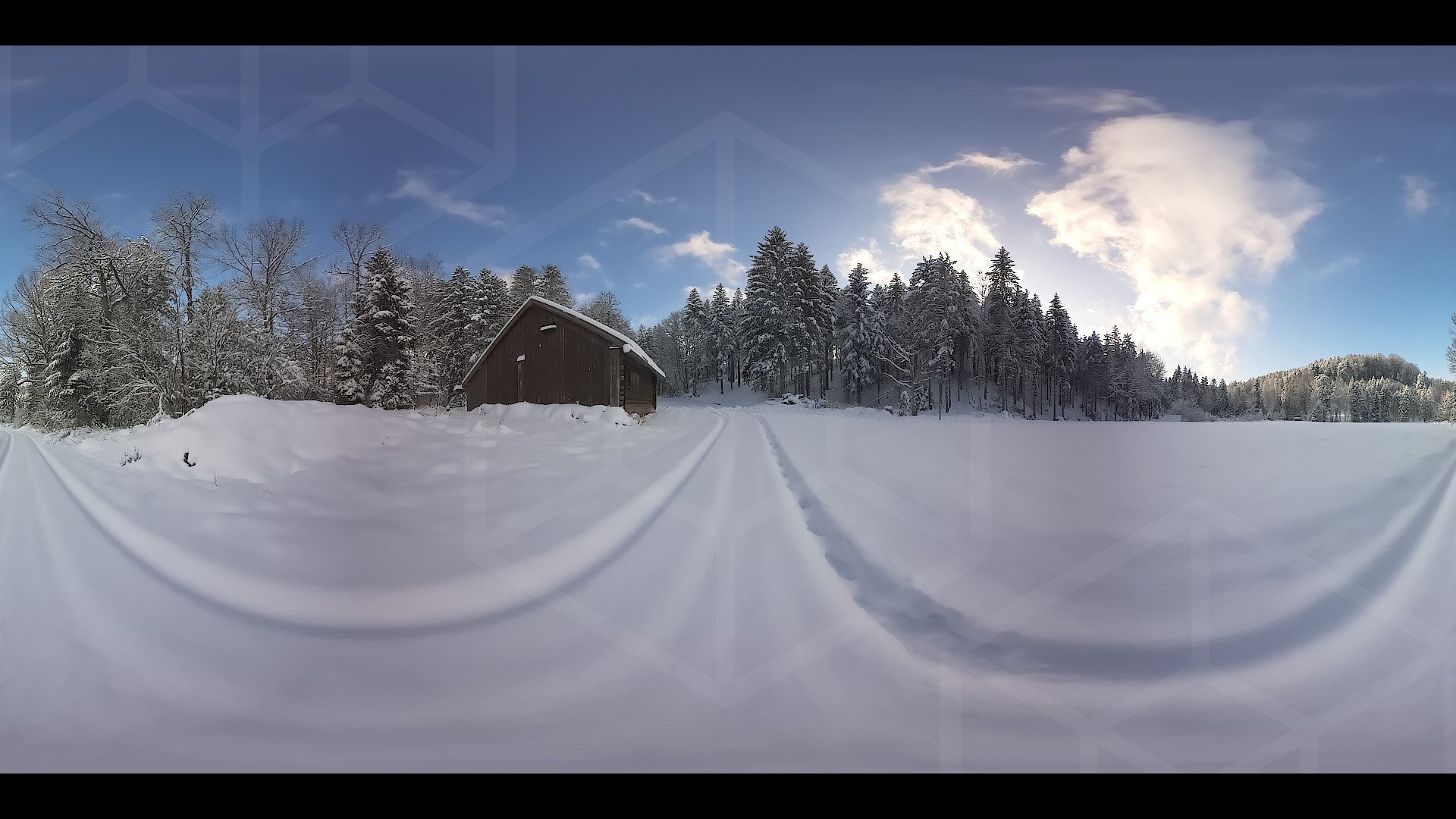 3D Winter Wonderland HDRI Collection Model - TurboSquid 2294648