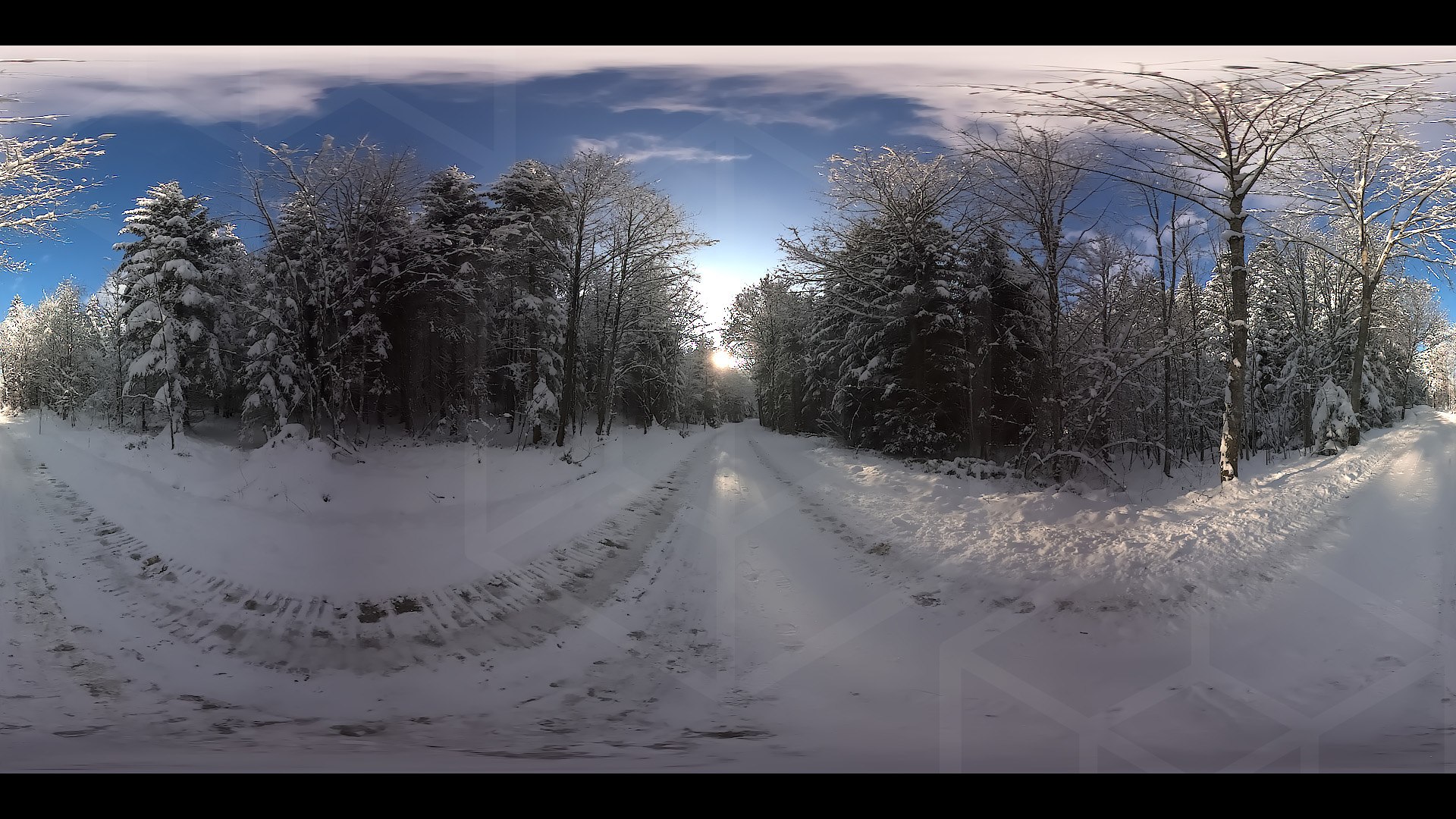 3D Winter Wonderland HDRI Collection Model - TurboSquid 2294648