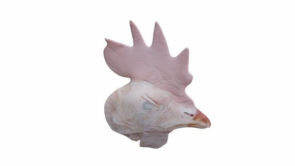 modelo 3d Chicken Head - TurboSquid 1954726