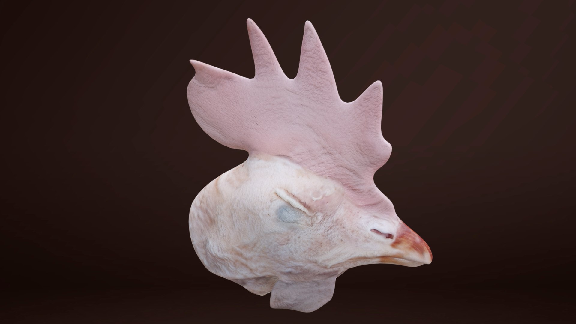 3D Chicken Head - TurboSquid 1954726