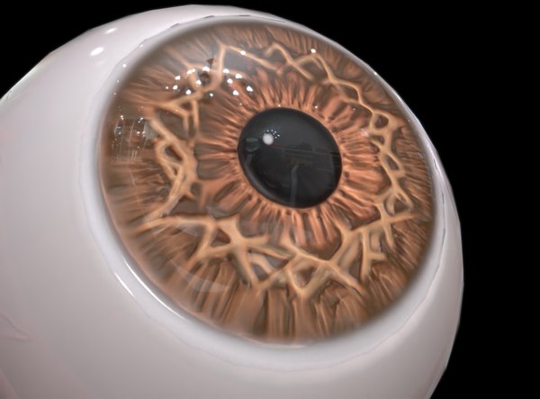 modelo 3d Globo ocular de cerca - TurboSquid 1510308