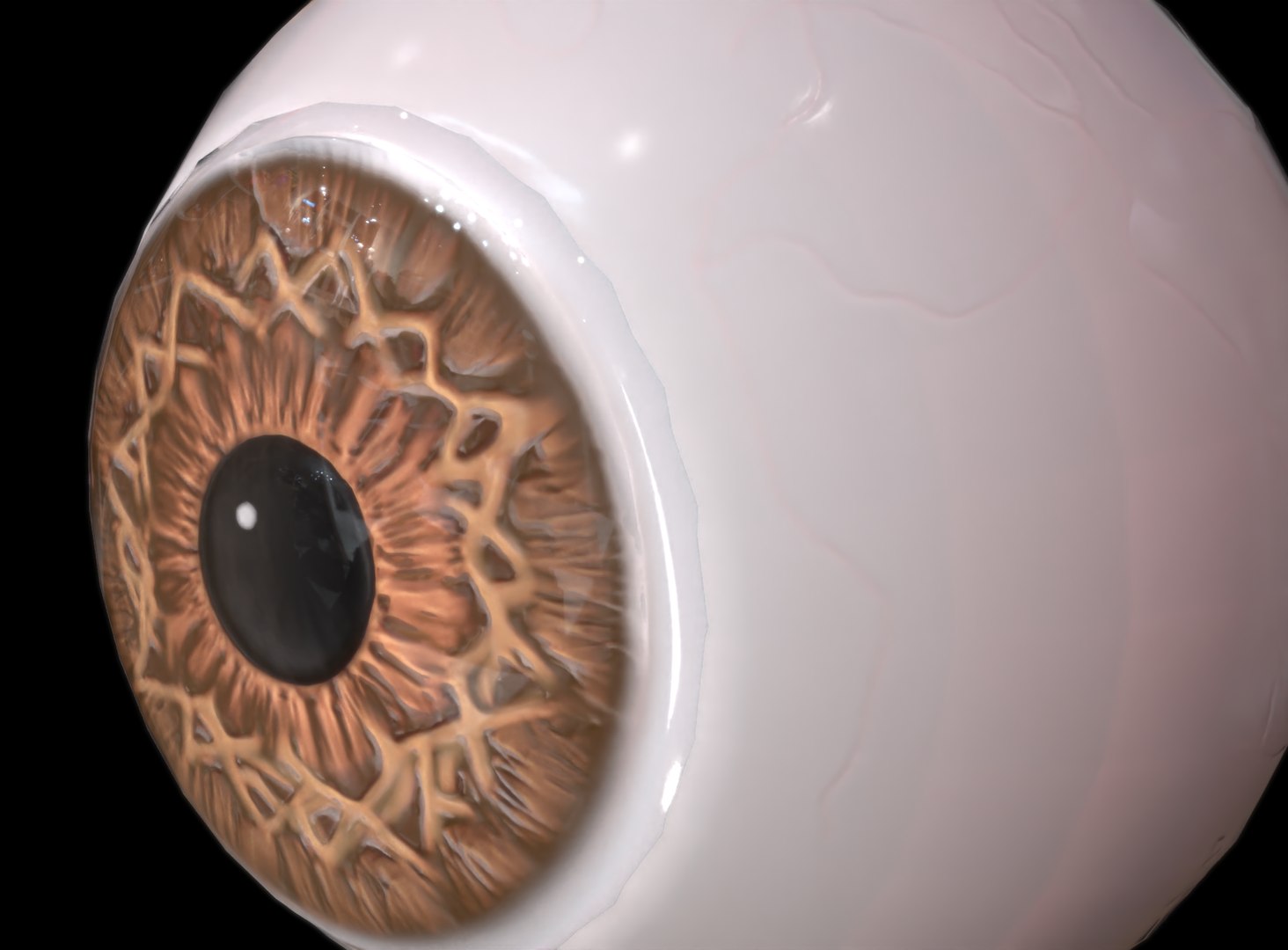 3D Eye Eyeball Model - TurboSquid 1510308