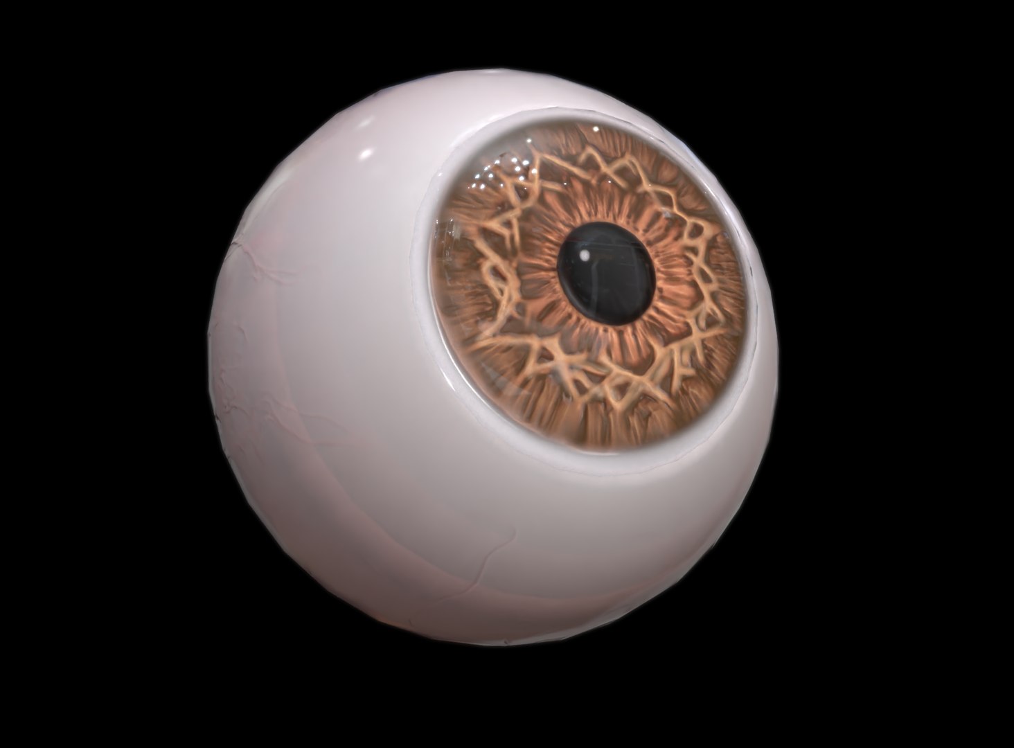 3D Eye Eyeball Model - TurboSquid 1510308