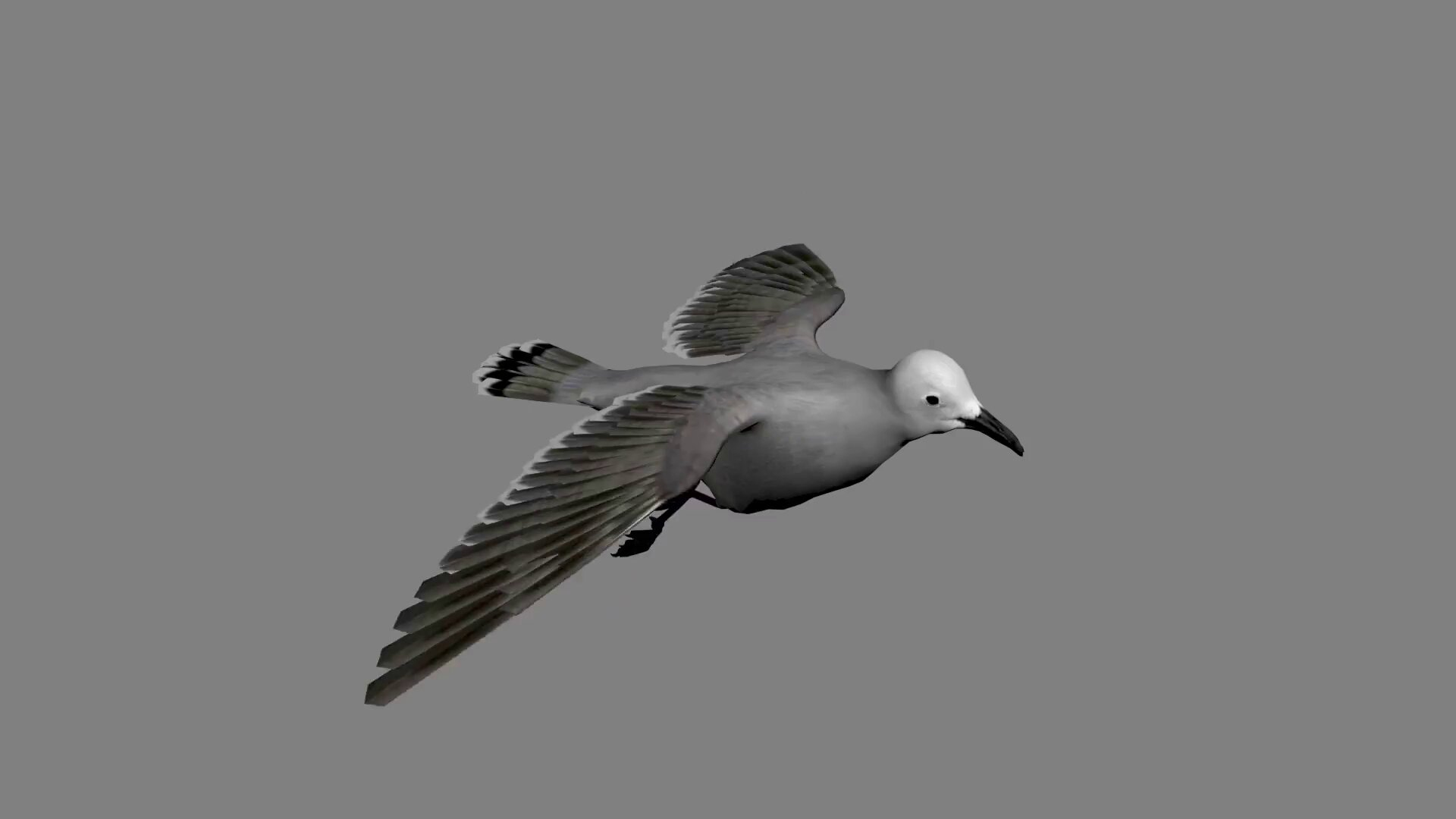 Gaviota Garuma 3D Model - TurboSquid 2142114
