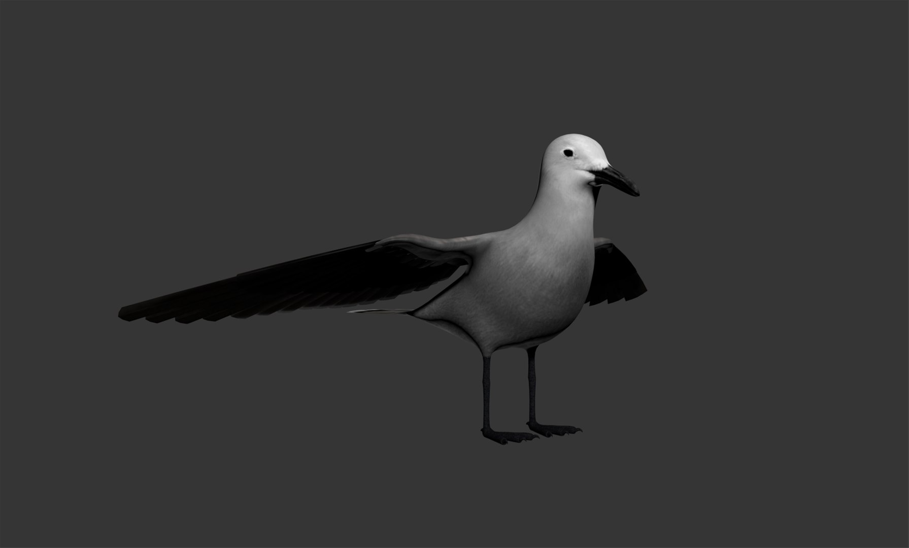 Gaviota Garuma 3D Model - TurboSquid 2142114