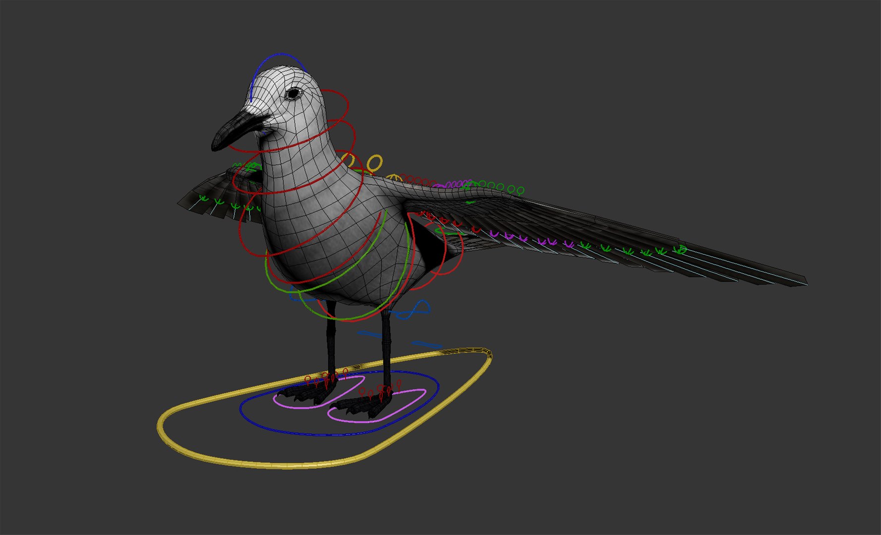 Gaviota Garuma 3D Model - TurboSquid 2142114