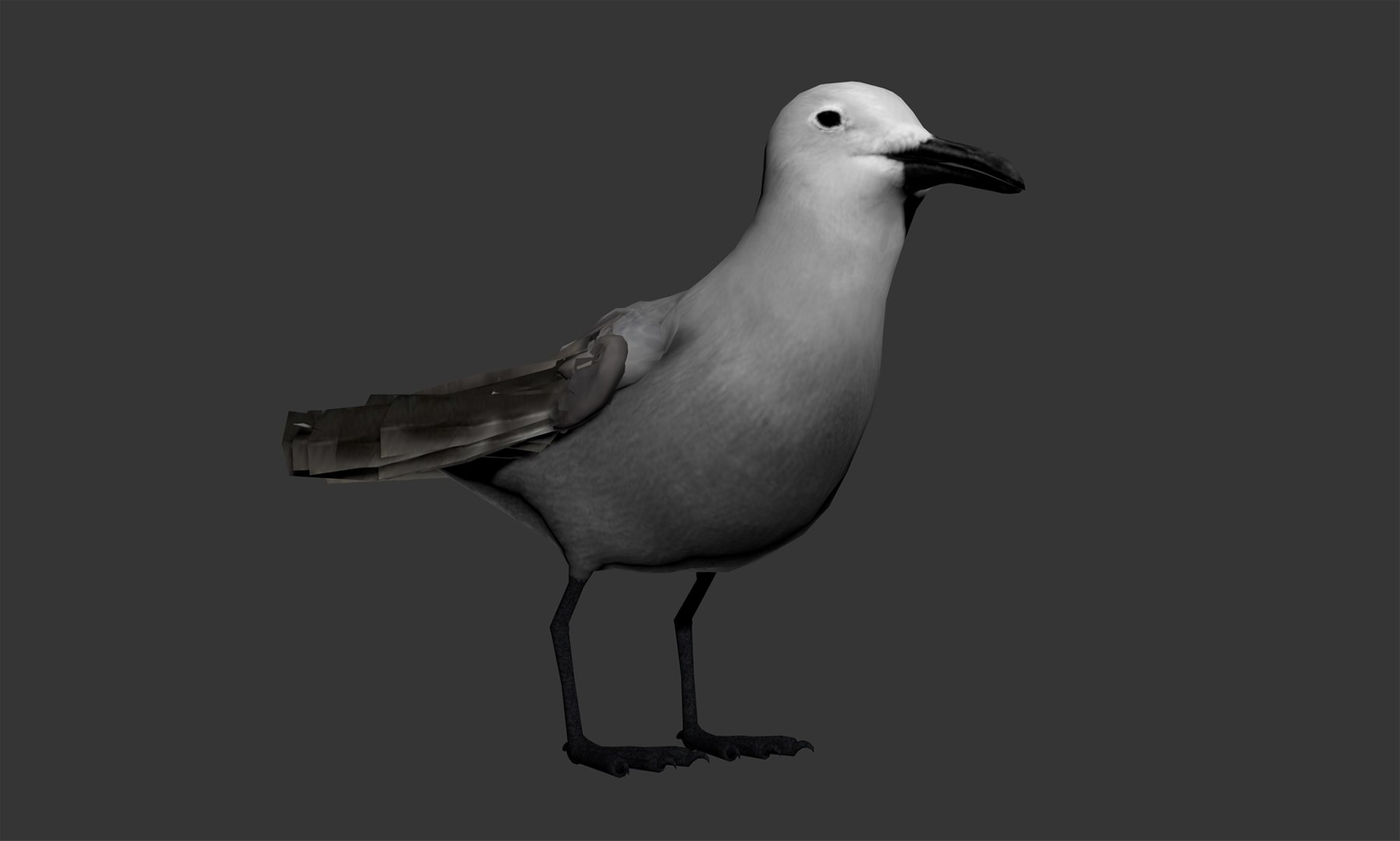 Gaviota Garuma 3D Model - TurboSquid 2142114