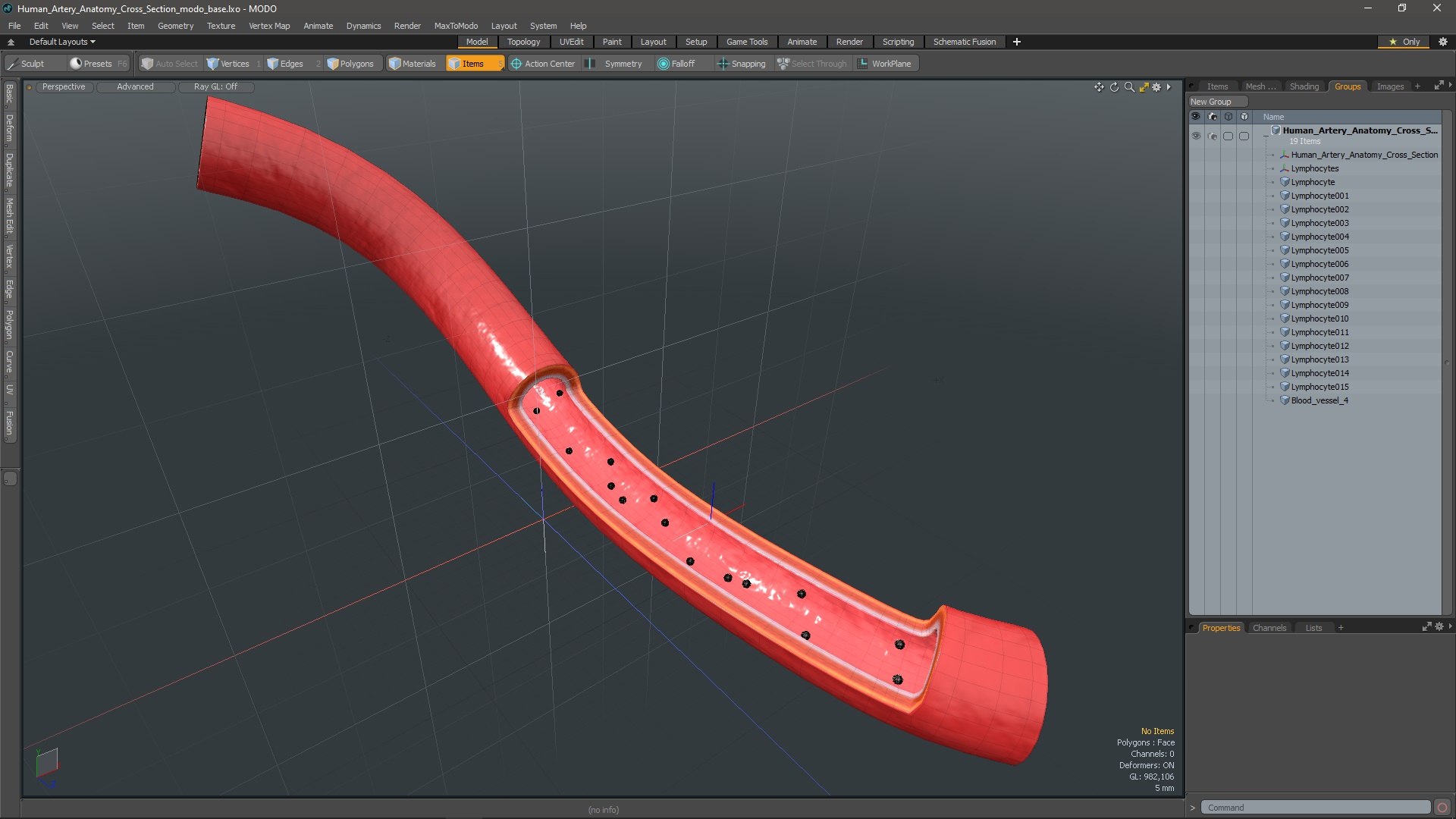 3D Model Human Artery Anatomy Cross Section - TurboSquid 2330134
