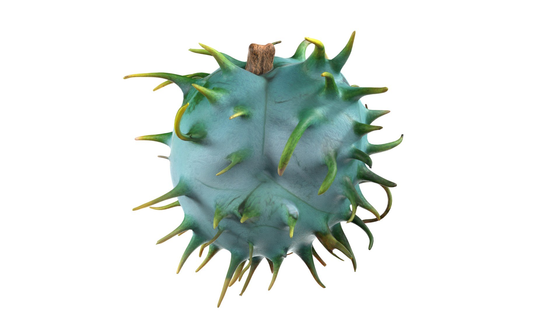 3D Caster Seed Set - TurboSquid 2407969