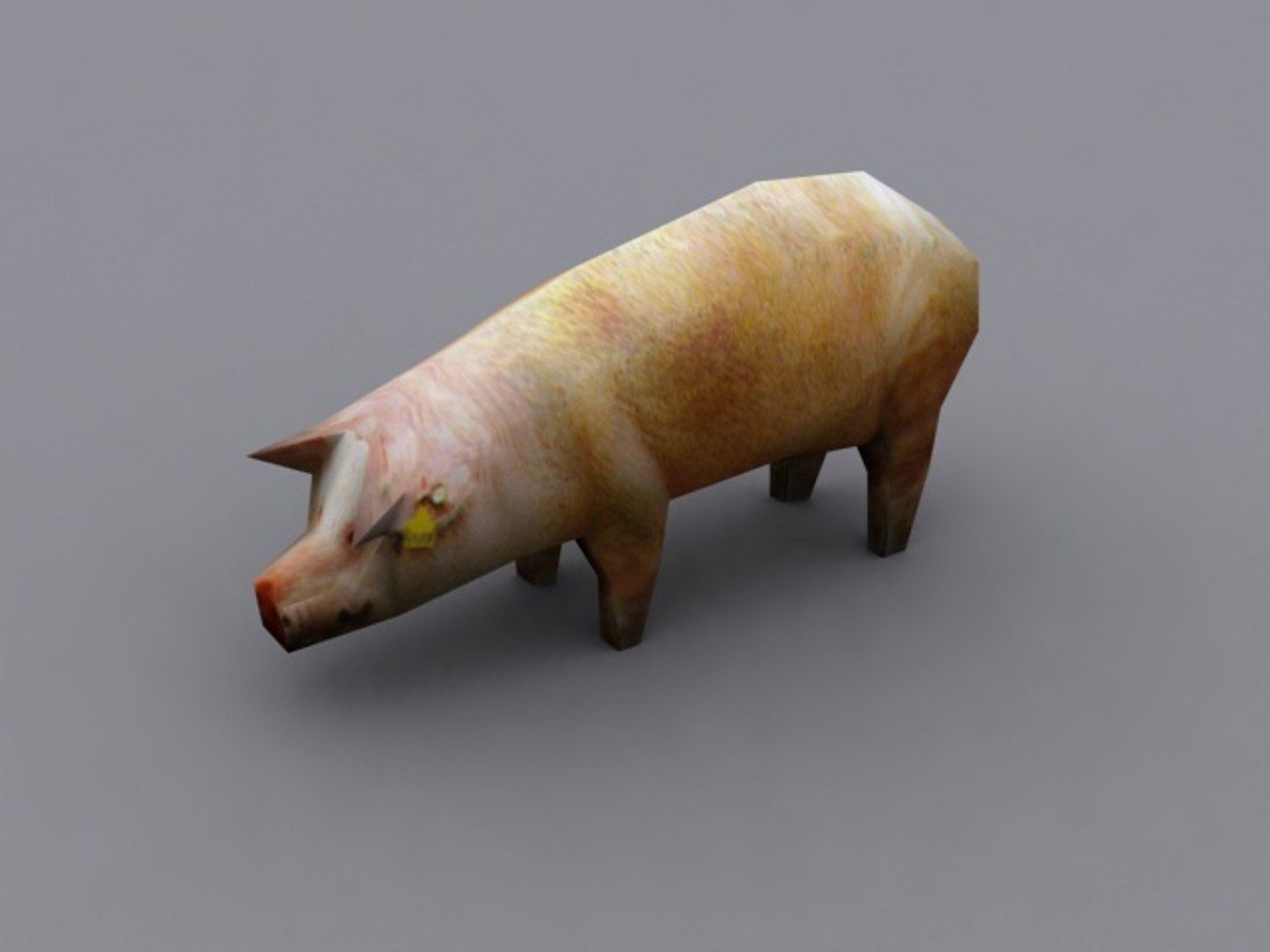 3d Model Of Pig