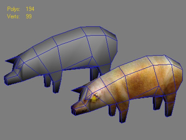 3d model of pig