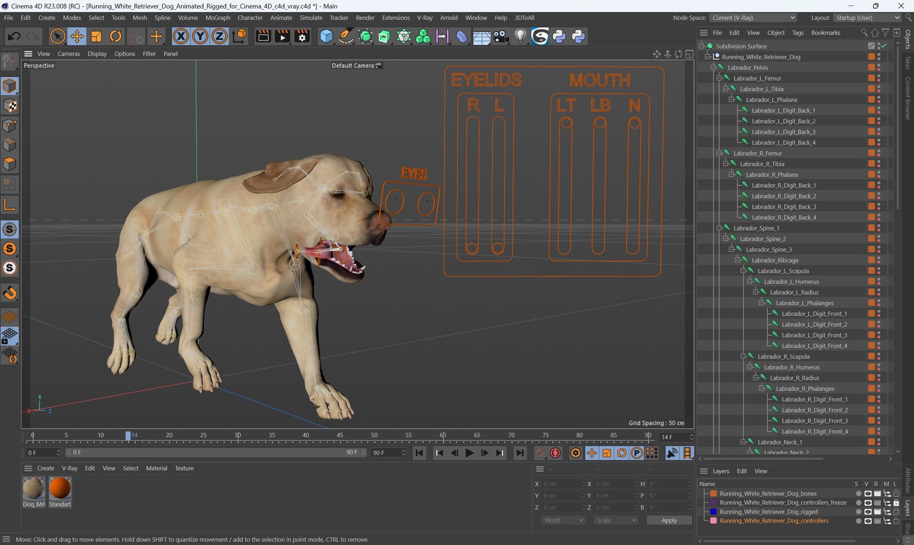 3D Running White Retriever Dog Animated Rigged For Cinema 4D Model ...