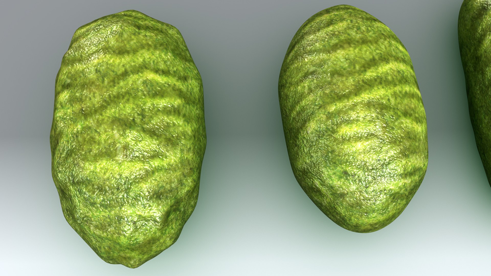 3d model of bacteria bacterium