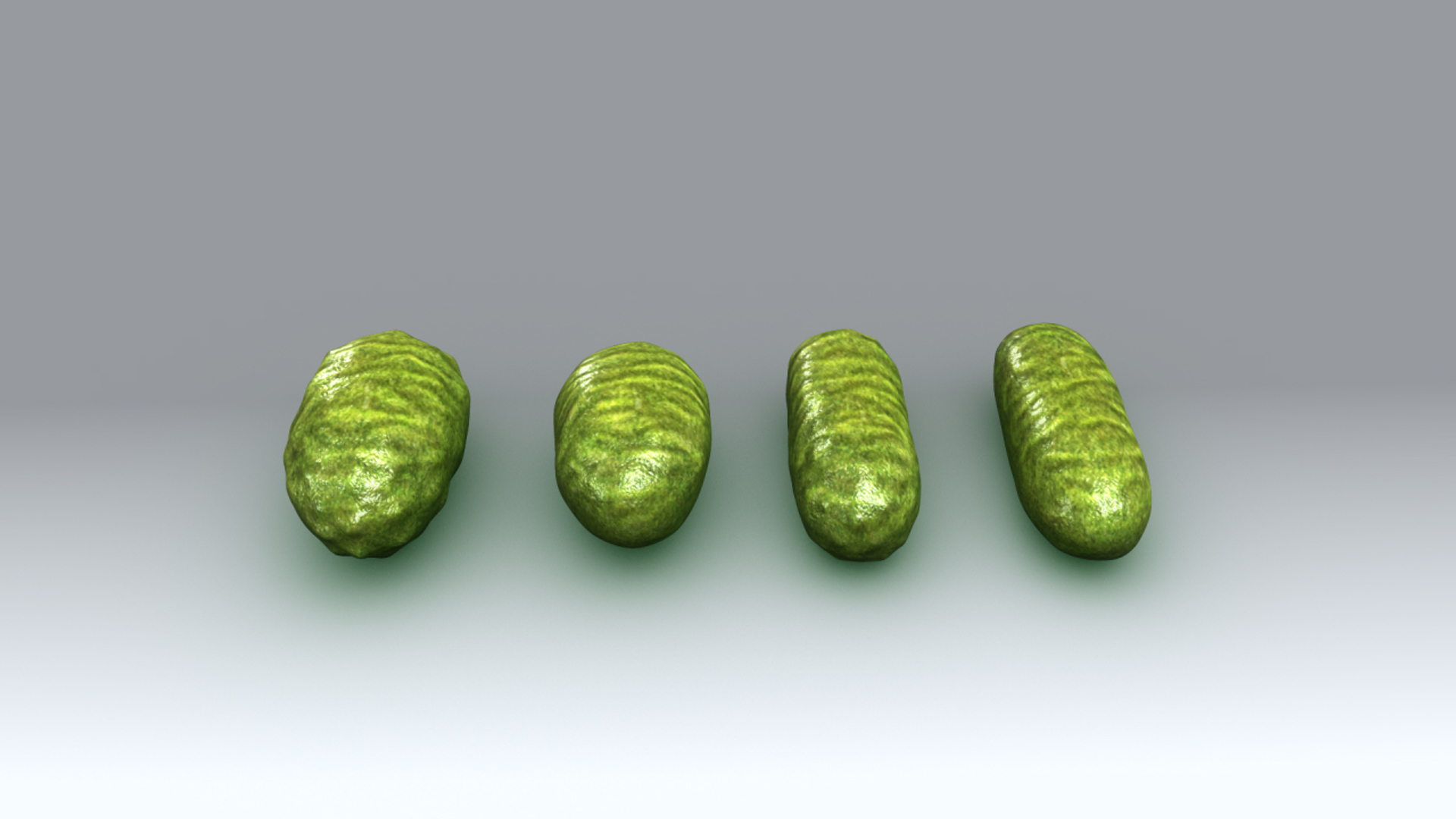 3d model of bacteria bacterium