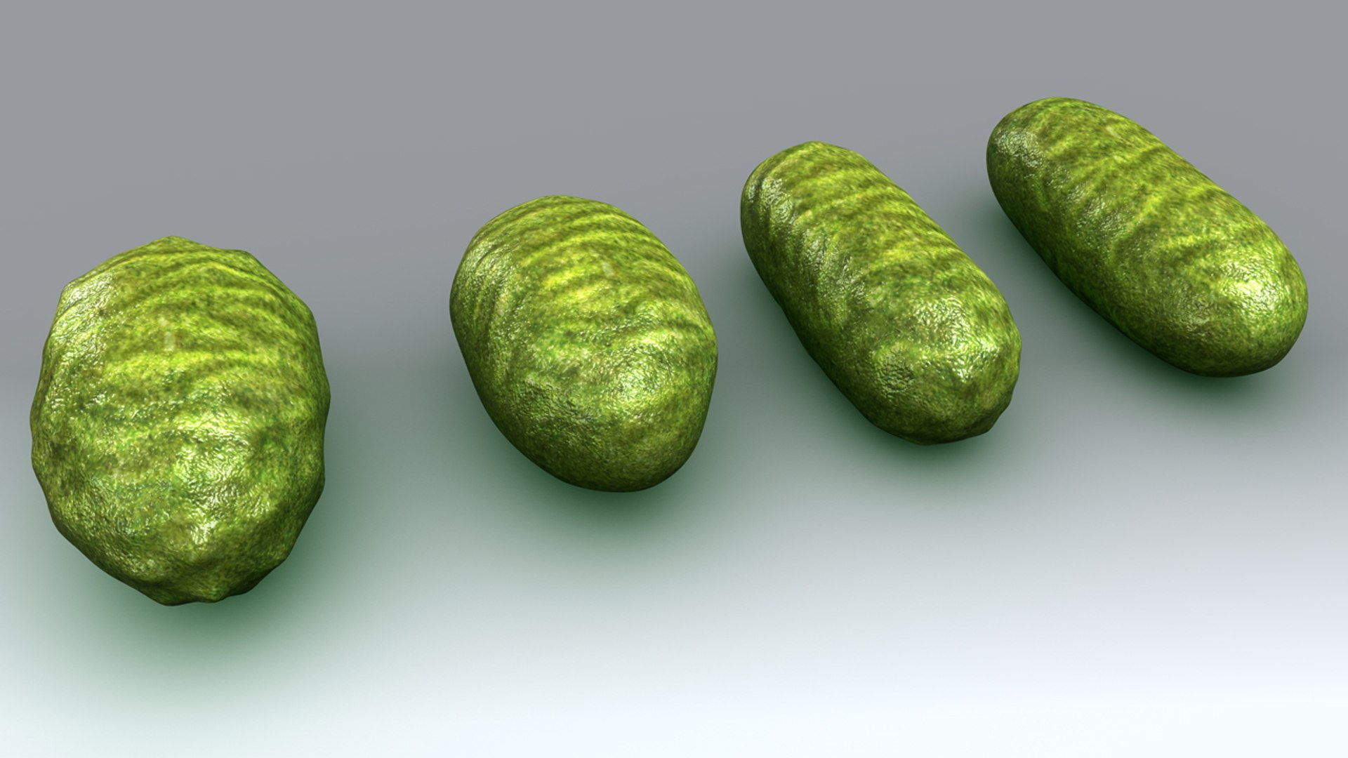 3d model of bacteria bacterium