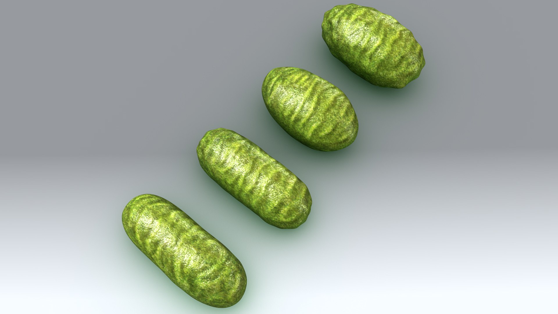3d model of bacteria bacterium
