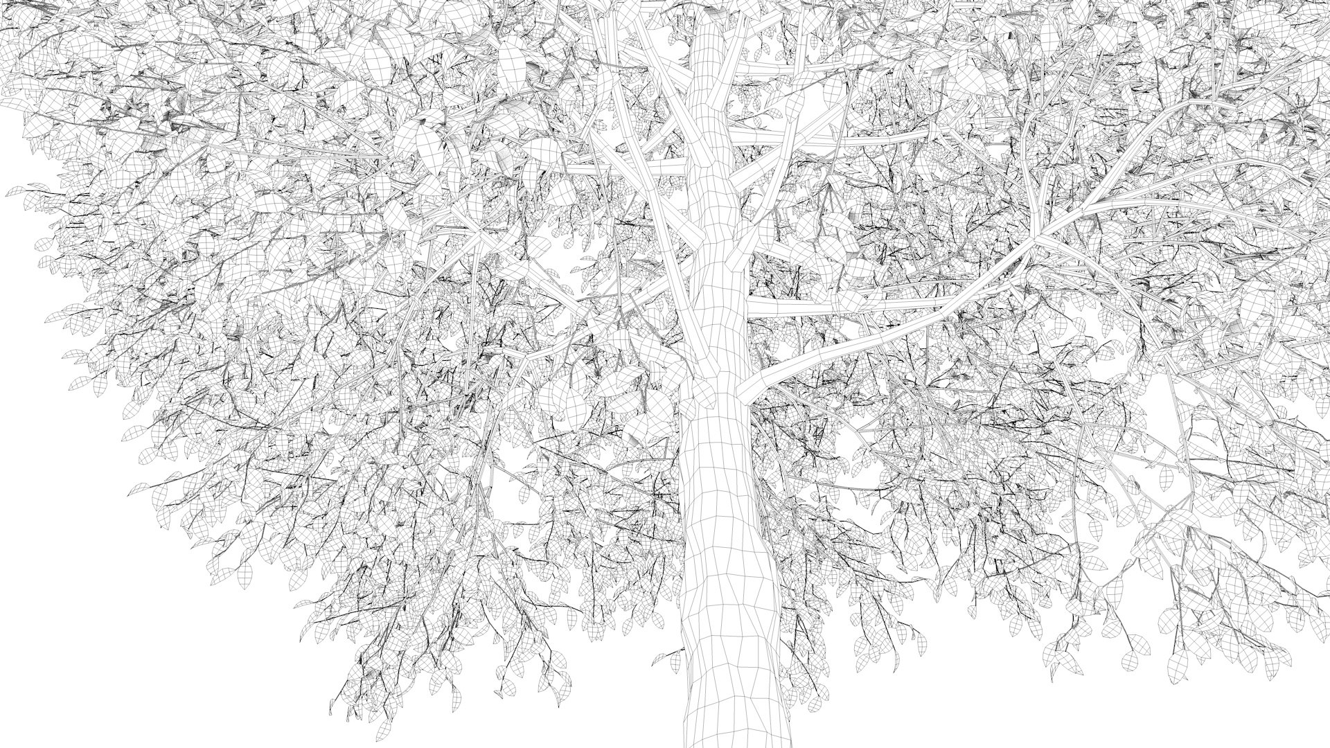 Aspen Tree 3D Model - TurboSquid 1717305
