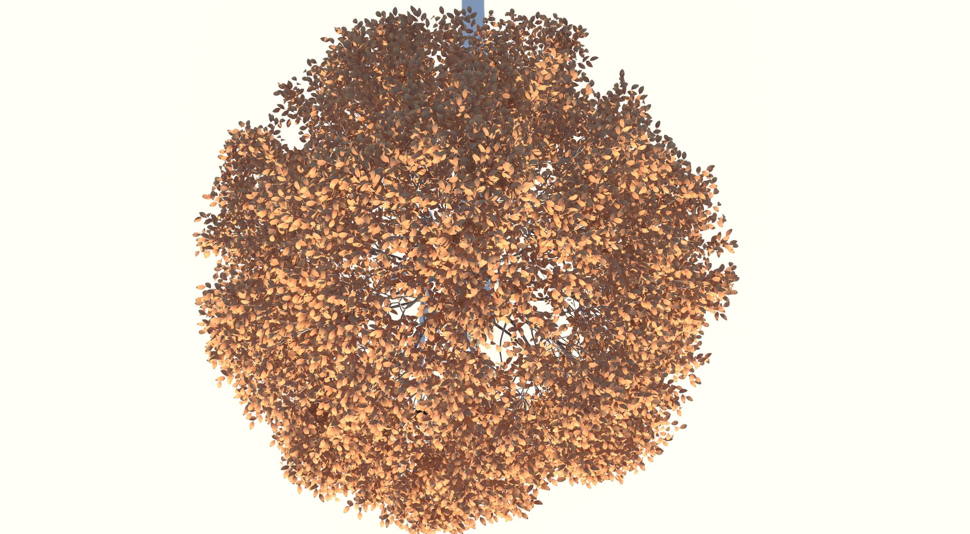 Aspen Tree 3D Model - TurboSquid 1717305