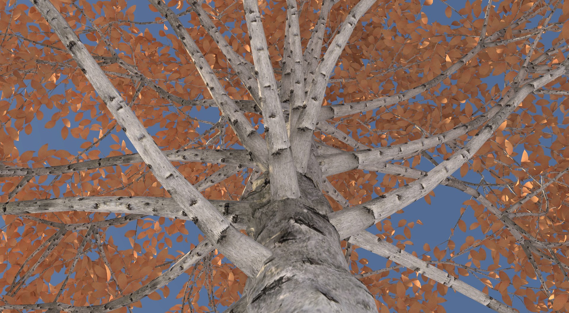 Aspen Tree 3D Model - TurboSquid 1717305
