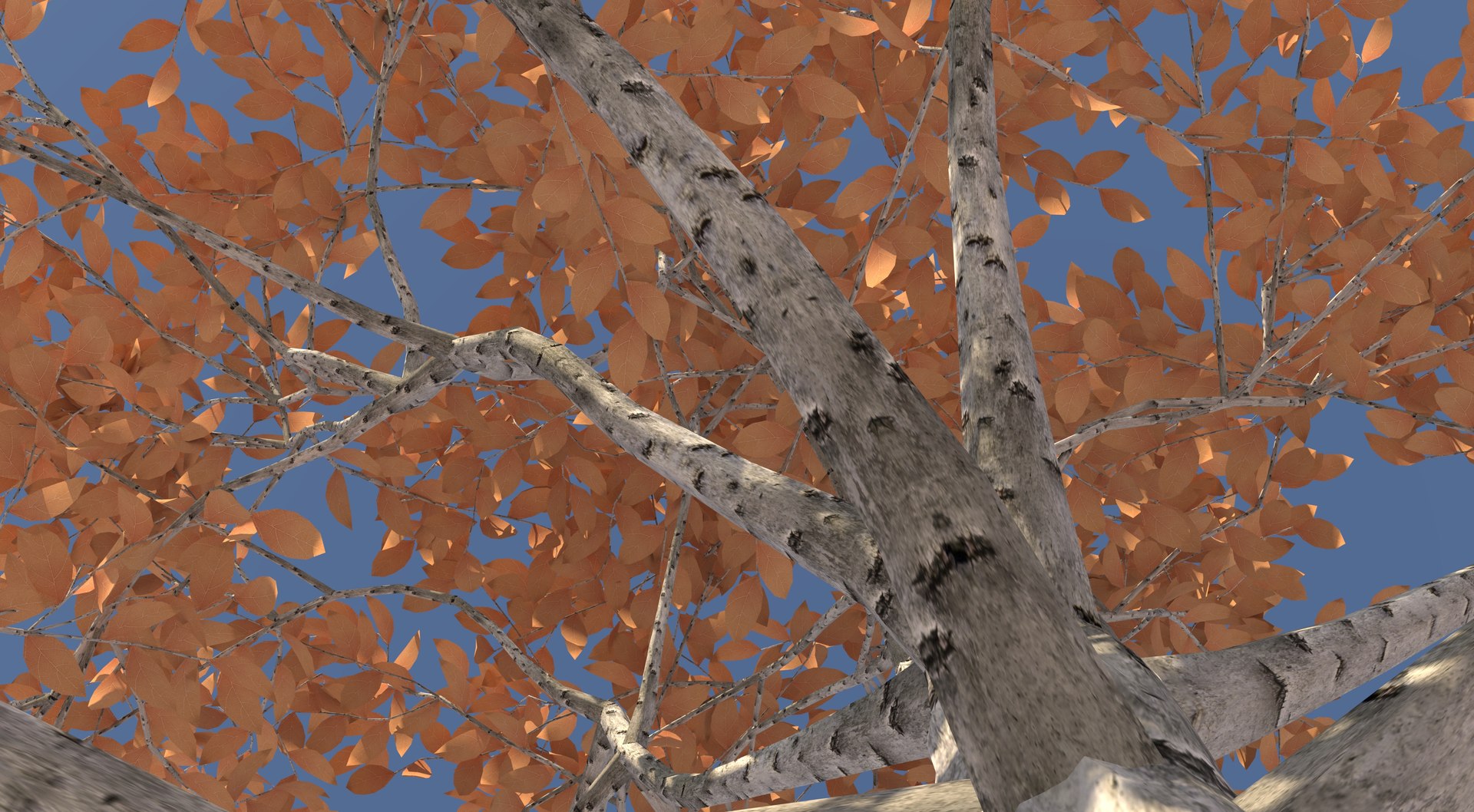 Aspen Tree 3D Model - TurboSquid 1717305
