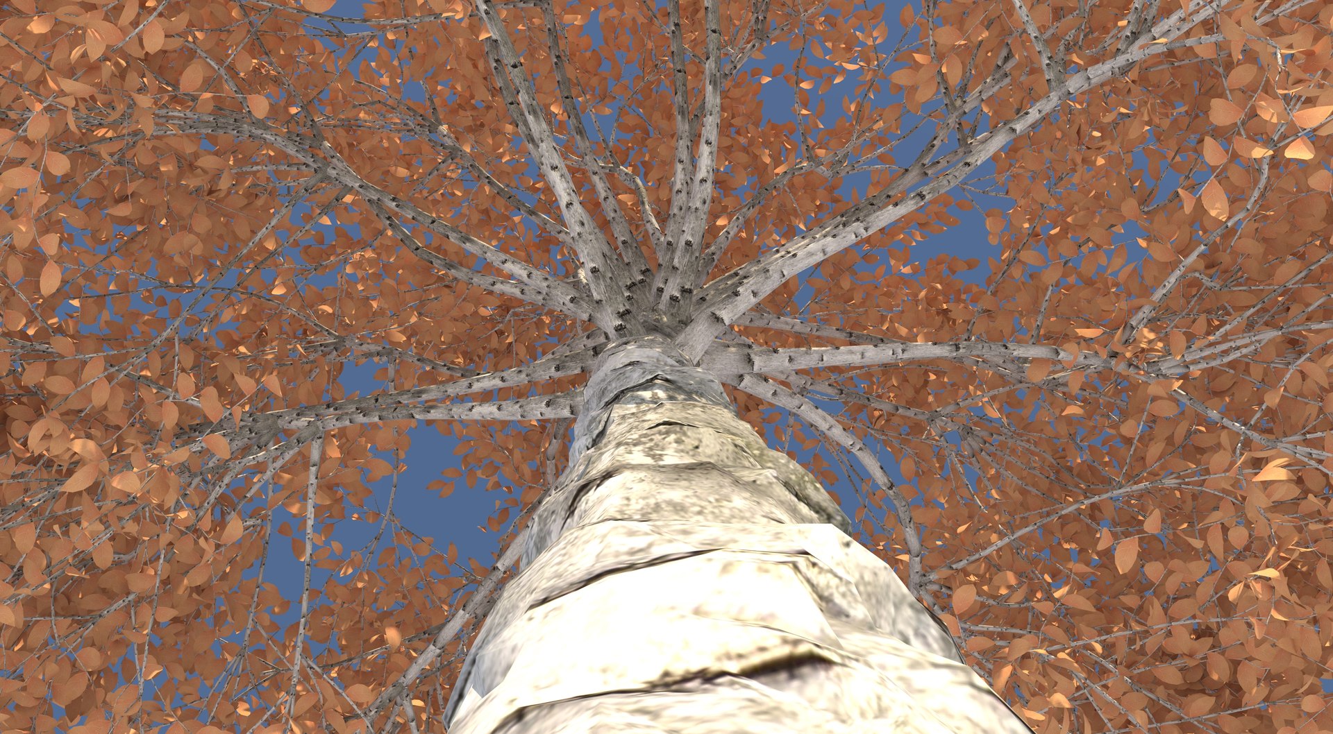 Aspen Tree 3D Model - TurboSquid 1717305