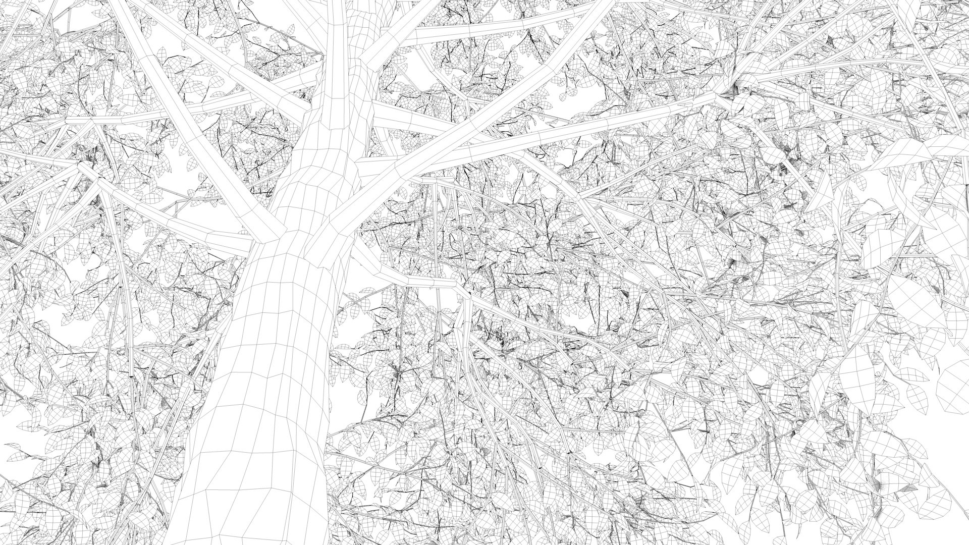 Aspen Tree 3D Model - TurboSquid 1717305