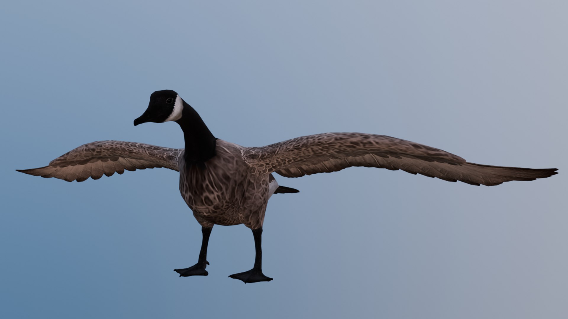 3D Canada Goose - TurboSquid 2419702