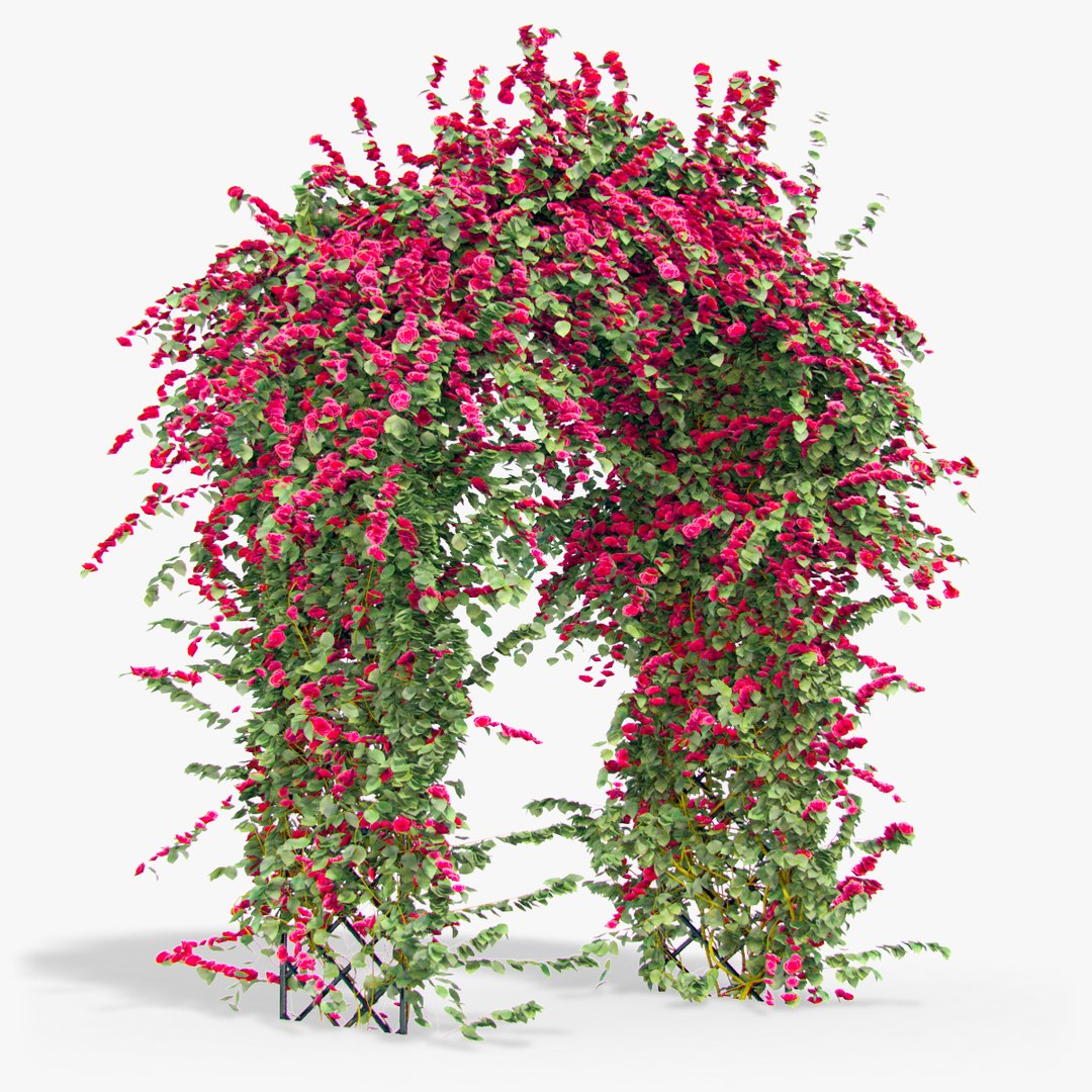 3d model pergola flowers ivy arch