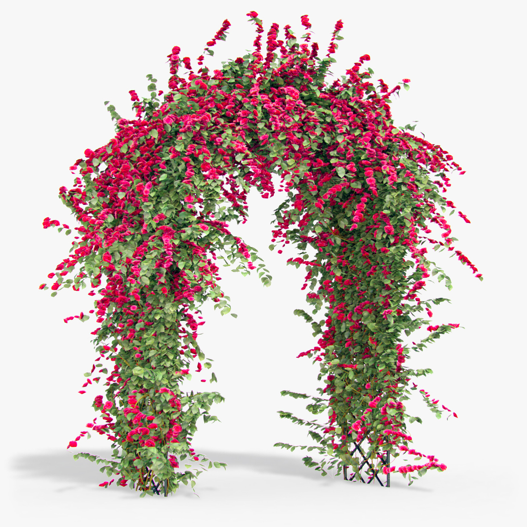 3d model pergola flowers ivy arch