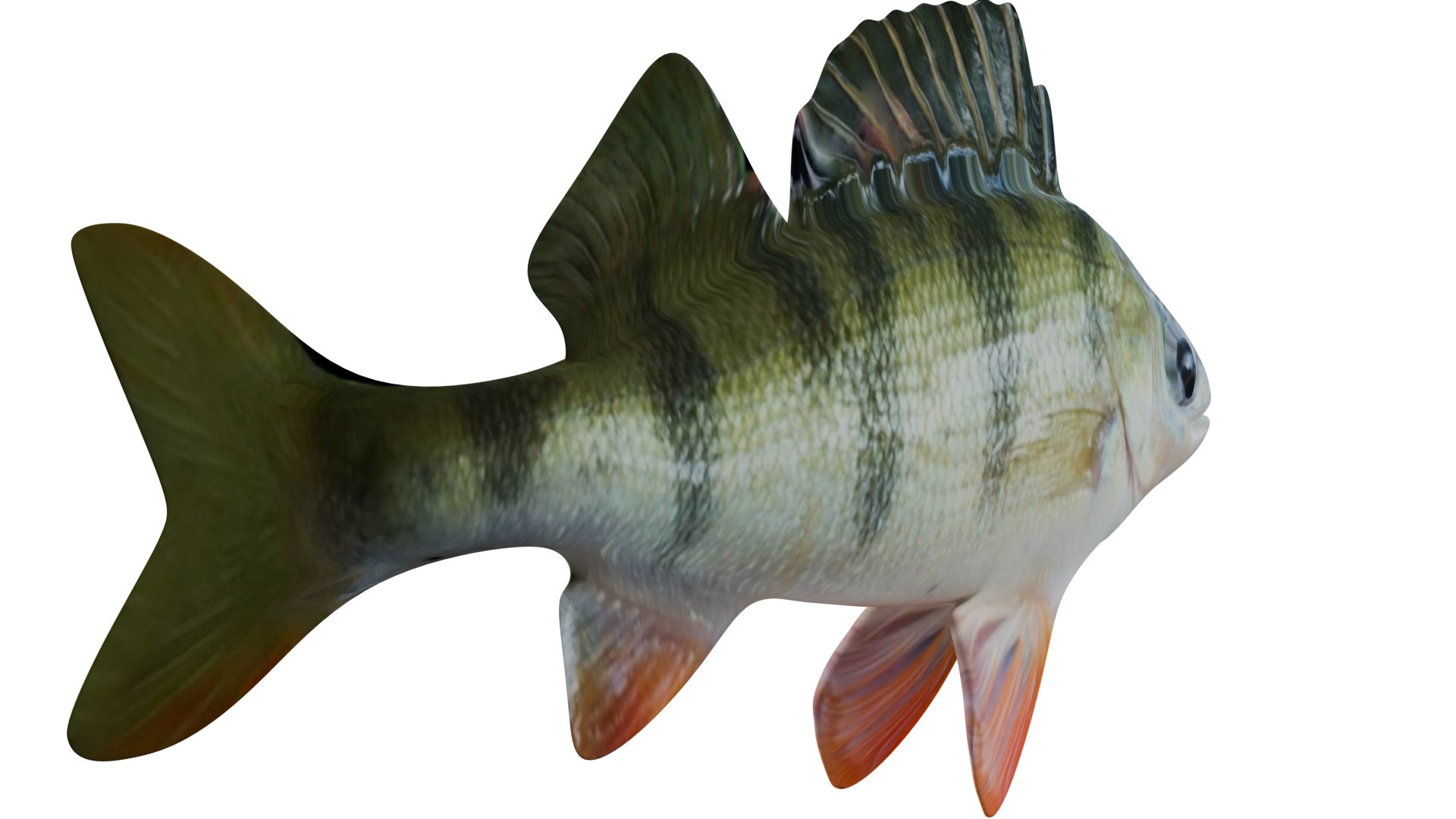 Bass Fish 3D - TurboSquid 2227758