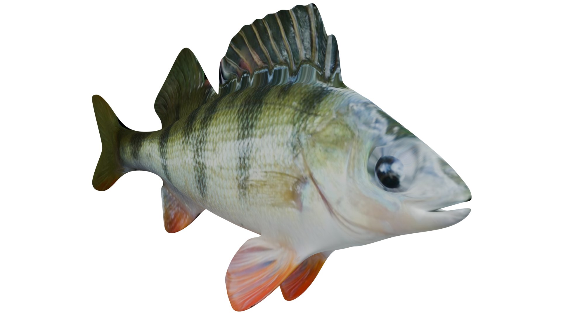 Bass Fish 3D - TurboSquid 2227758