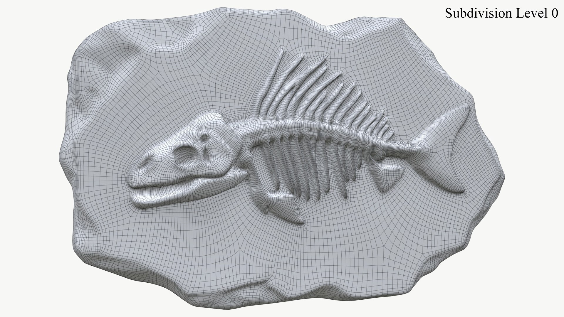 Prehistoric Fish Skeleton Fossil 025 Textured 3D Model - TurboSquid 2304562