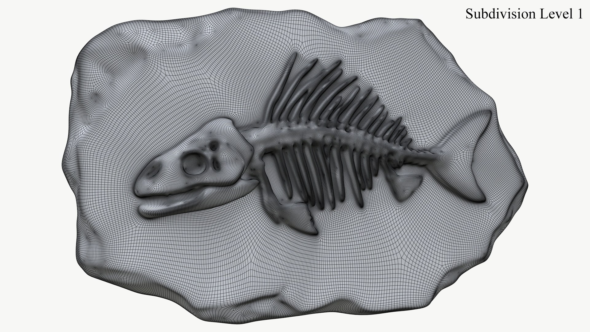 Prehistoric Fish Skeleton Fossil 025 Textured 3D Model - TurboSquid 2304562