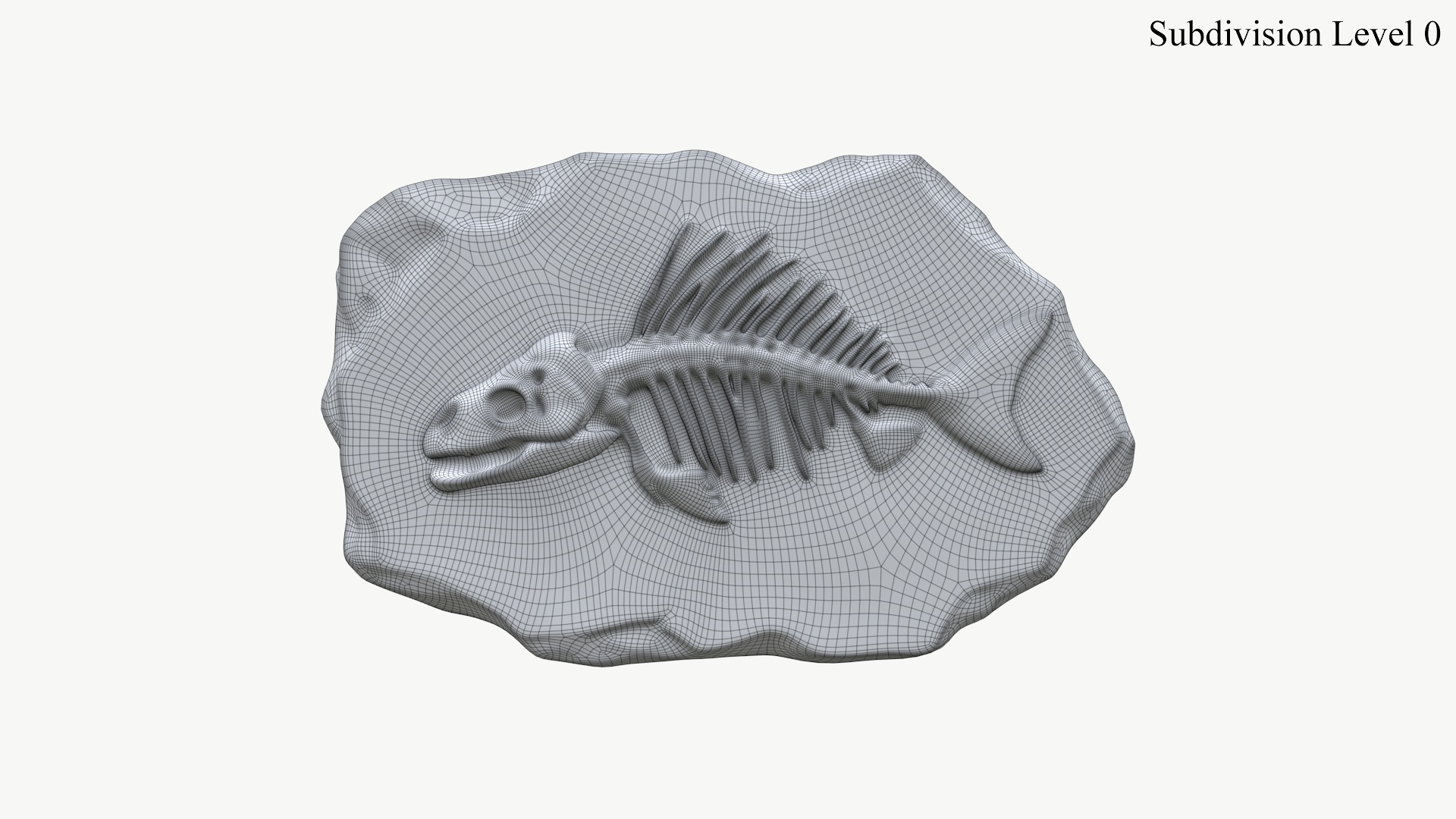 Prehistoric Fish Skeleton Fossil 025 Textured 3D Model - TurboSquid 2304562