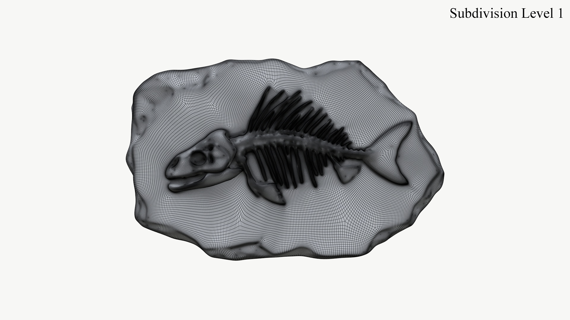 Prehistoric Fish Skeleton Fossil 025 Textured 3D Model - TurboSquid 2304562
