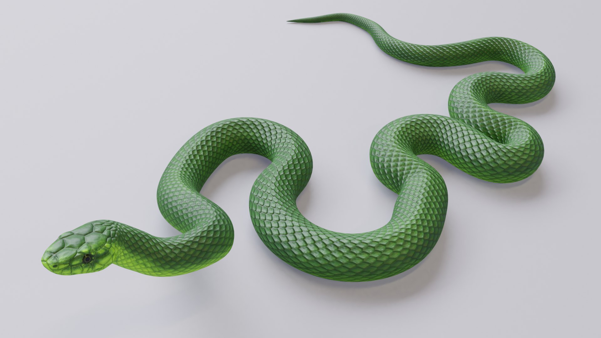 Green Mamba - Rigged 3D model - TurboSquid 1774458