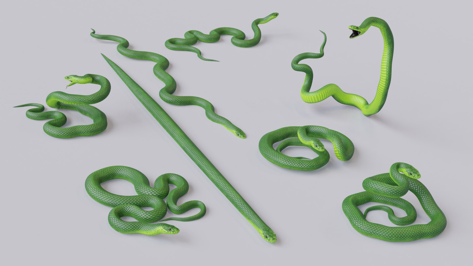 Green Mamba - Rigged 3D model - TurboSquid 1774458