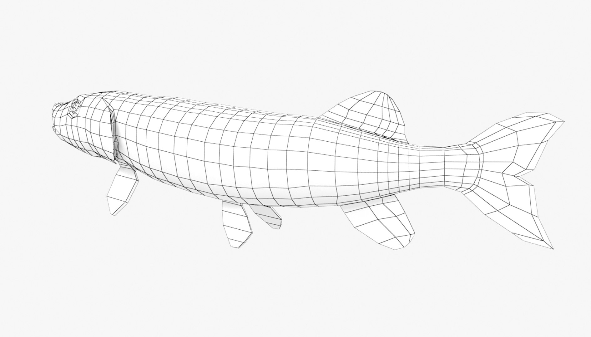 Pike Fish Animation 3D - TurboSquid 1307226