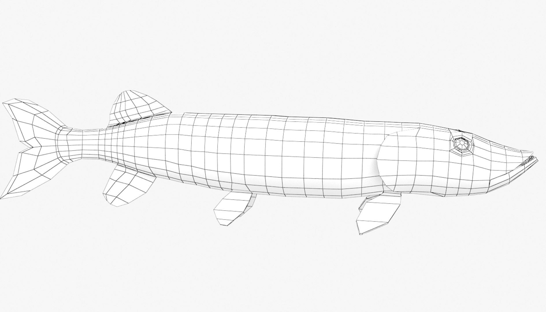 Pike Fish Animation 3D - TurboSquid 1307226