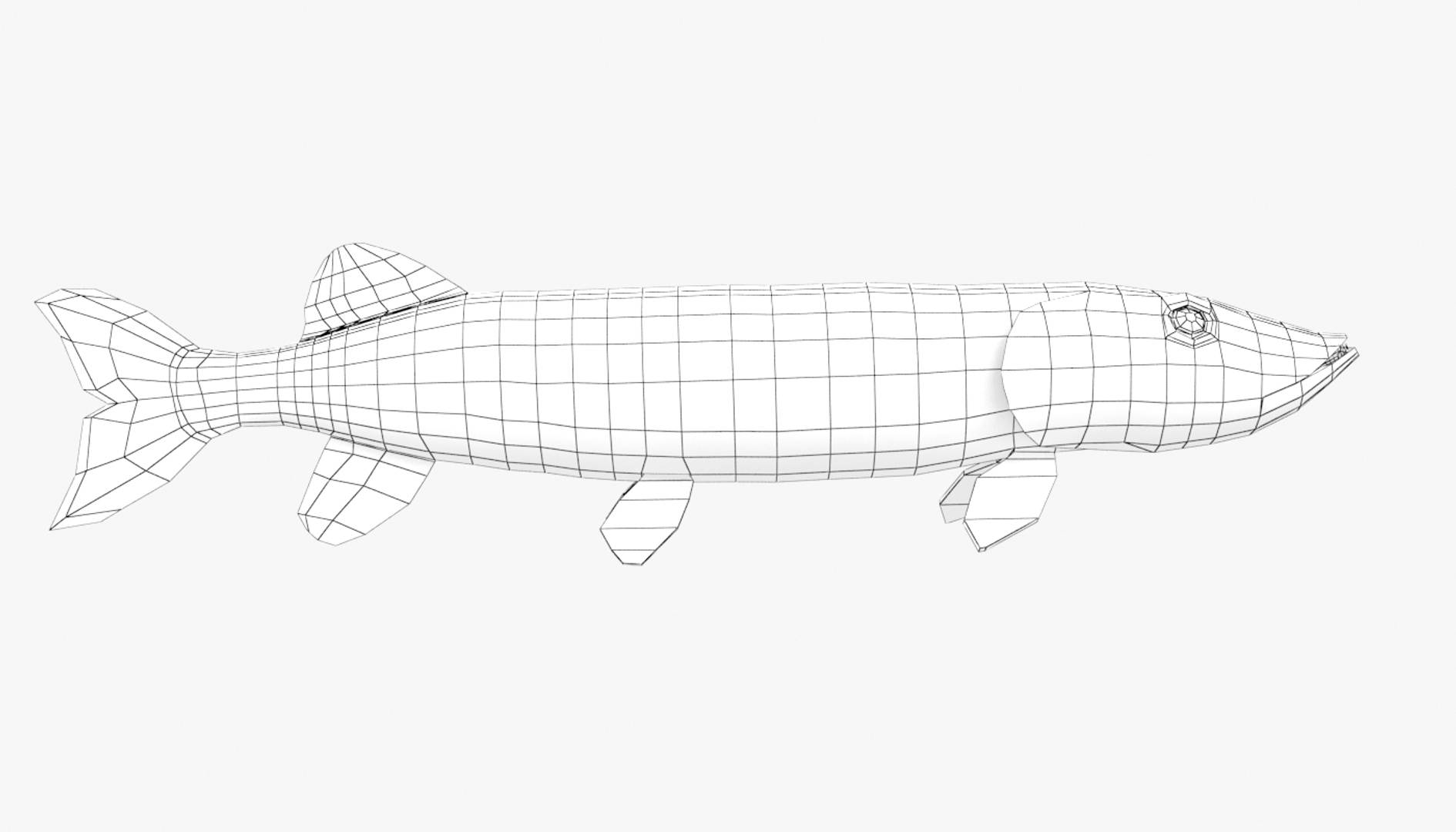 Pike Fish Animation 3D - TurboSquid 1307226