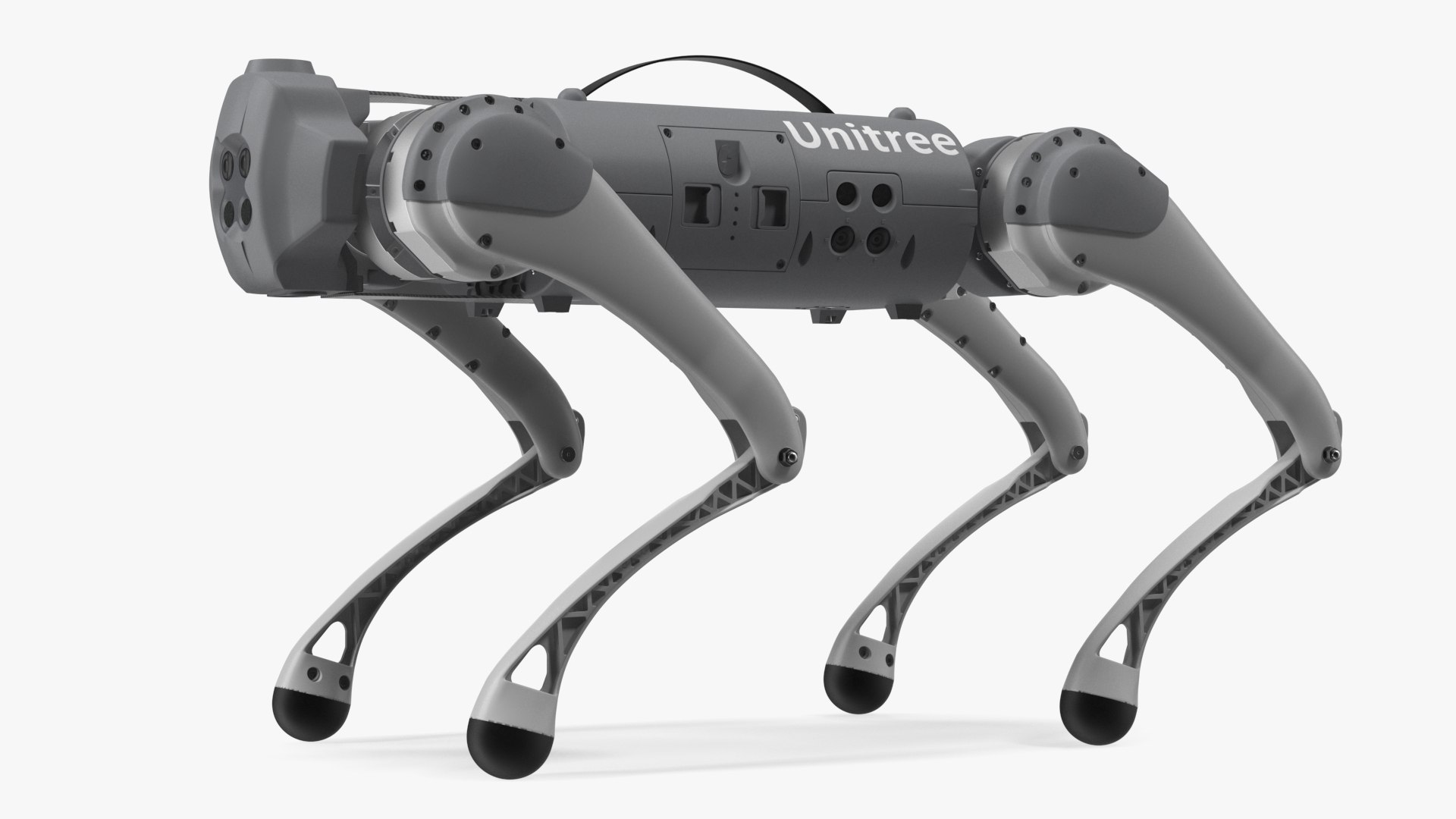 3D Robot Unitree Go1 Silver Rigged For Maya - TurboSquid 2189626