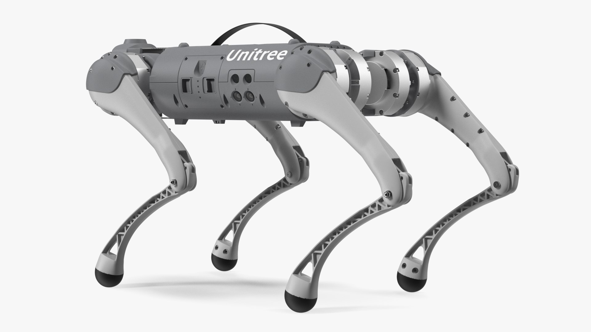 3D Robot Unitree Go1 Silver Rigged For Maya - TurboSquid 2189626