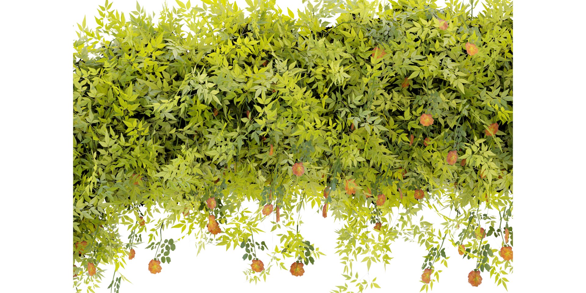 Collection Plant Vol 376 - Blender Model Model - TurboSquid 2095054