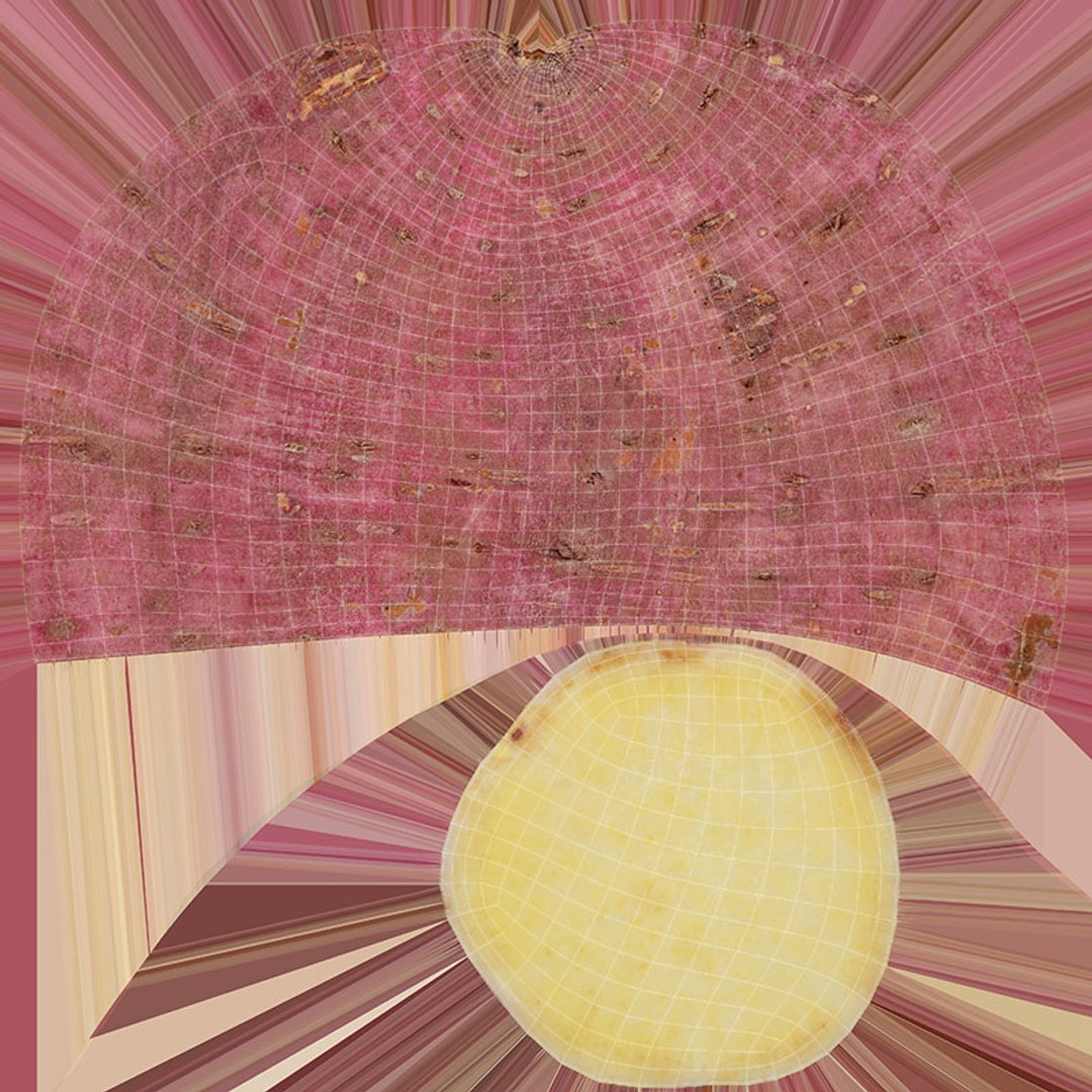 Sweet Potato 06 Collection Model - TurboSquid 2116817