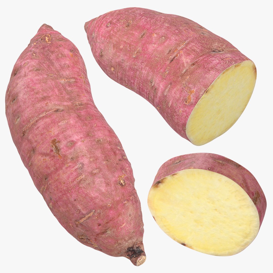 Sweet Potato 06 Collection Model - TurboSquid 2116817
