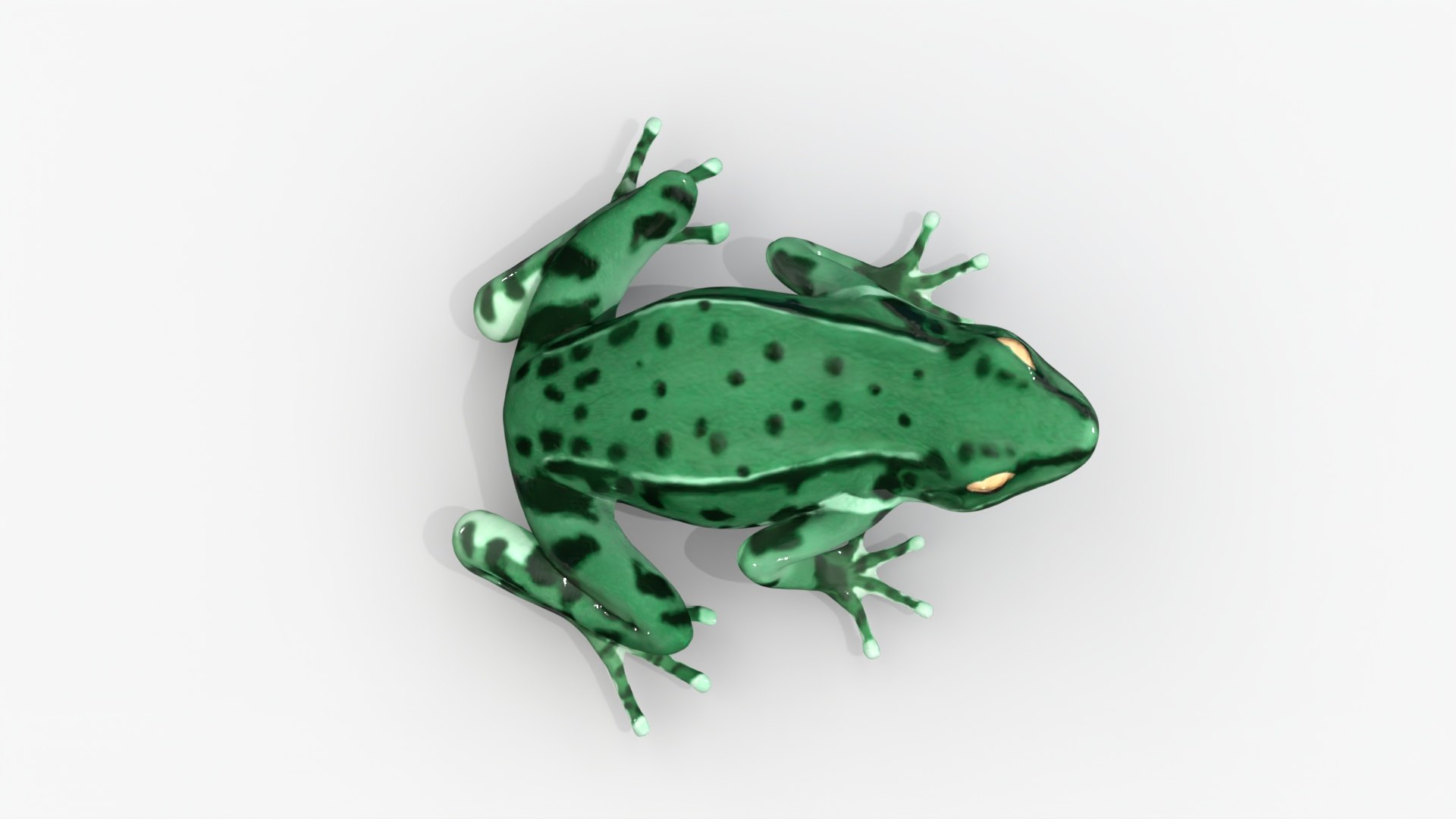 Low Poly Frog Model - TurboSquid 1987598