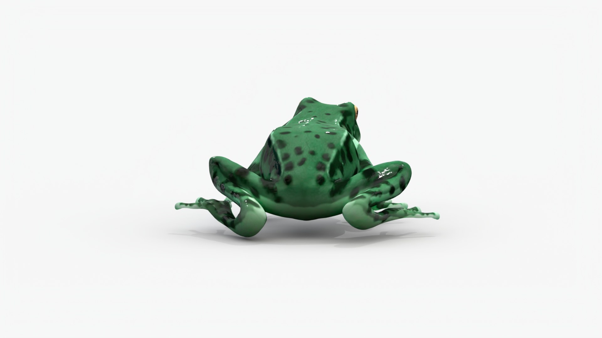 Low Poly Frog Model - TurboSquid 1987598