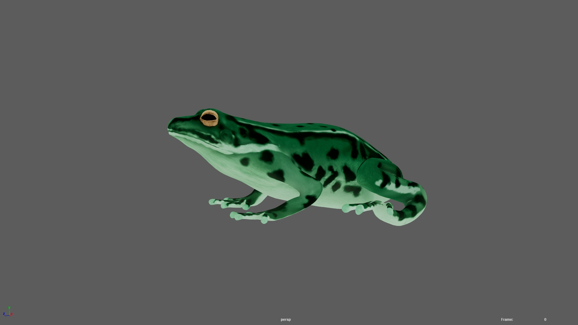 Low Poly Frog Model - TurboSquid 1987598